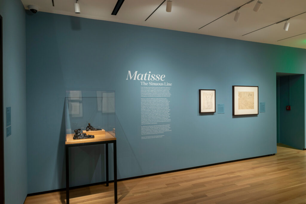 Matisse: The Sinuous Line | Baltimore Museum of Art
