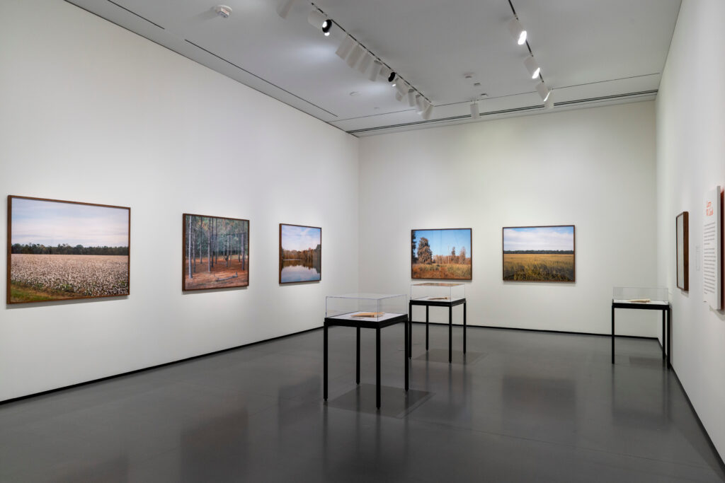 A Movement in Every Direction: Legacies of the Great Migration ...